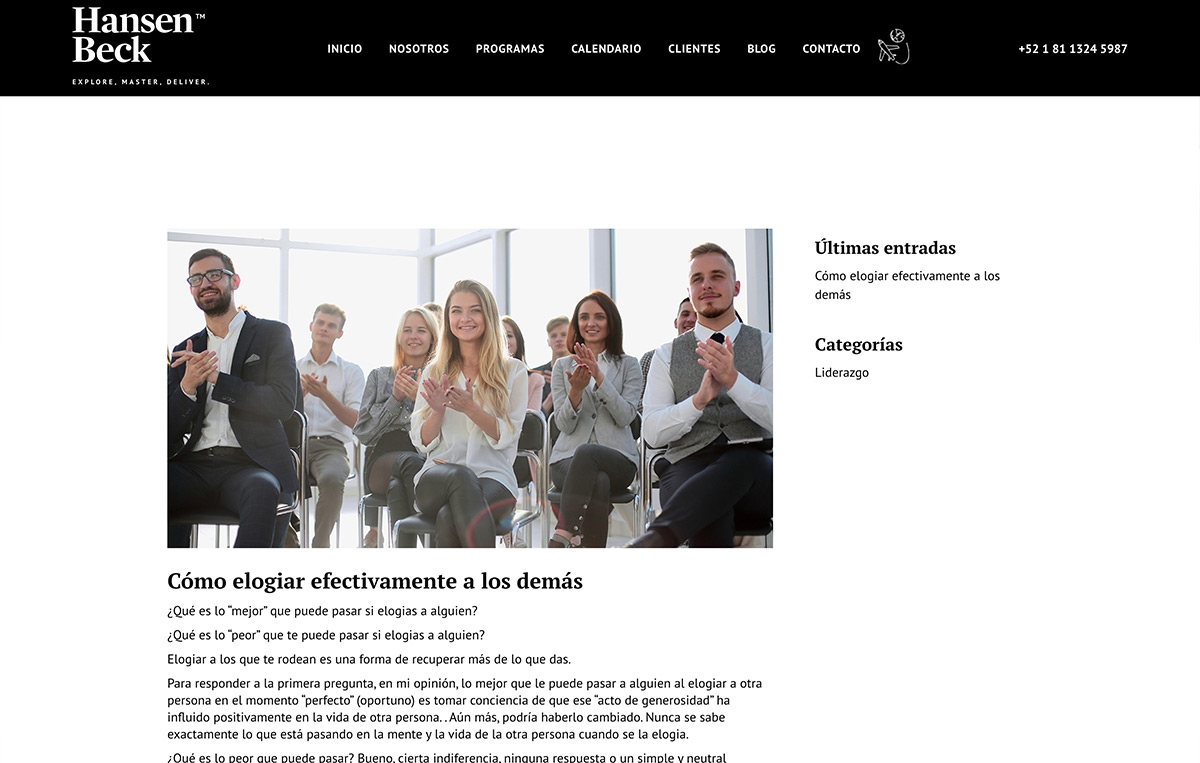 Diseño de paginas Web Monterrey, Paginas Web Monterrey