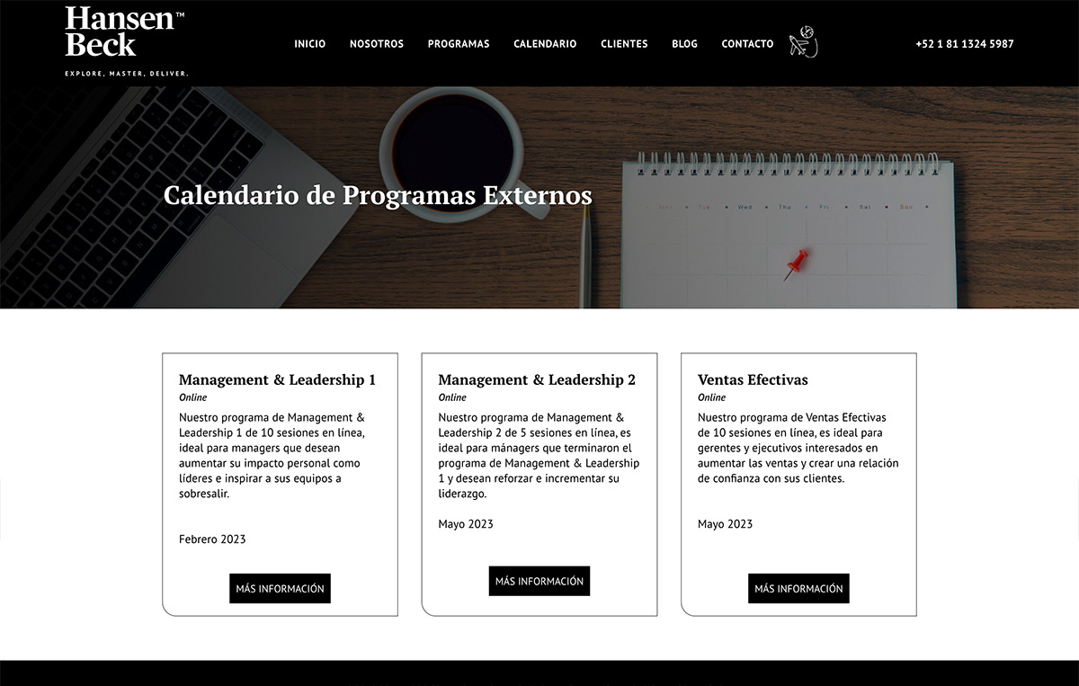 Diseño de paginas Web Monterrey, Paginas Web Monterrey