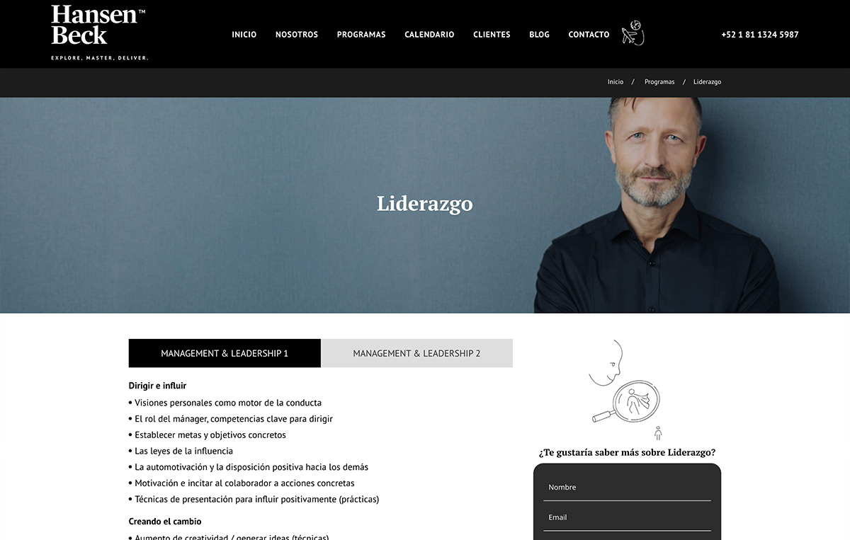 Diseño de paginas Web Monterrey, Paginas Web Monterrey