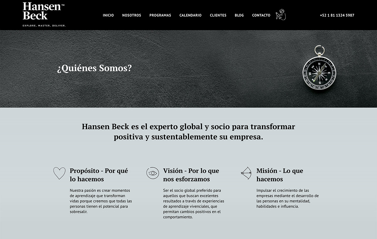 Diseño de paginas Web Monterrey, Paginas Web Monterrey