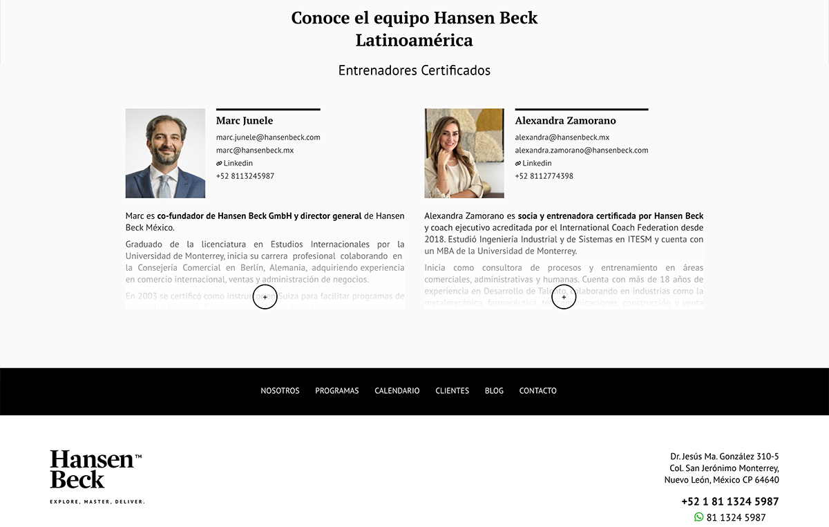 Diseño de paginas Web Monterrey, Paginas Web Monterrey